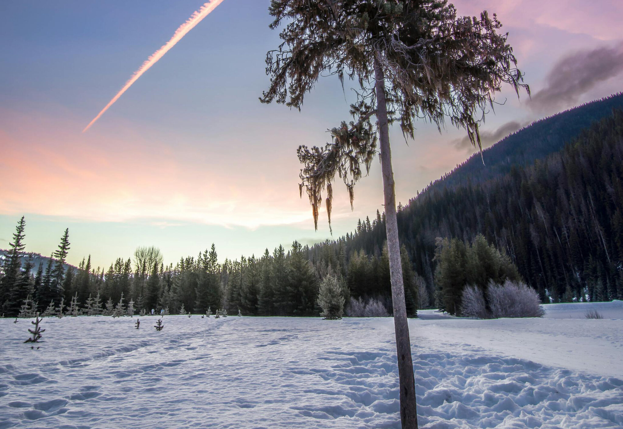 Investor Centre – Tuktu Resources Ltd.